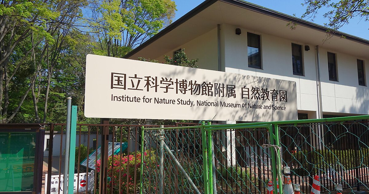 Institute for Nature Study, National Museum of Nature and Science in ...