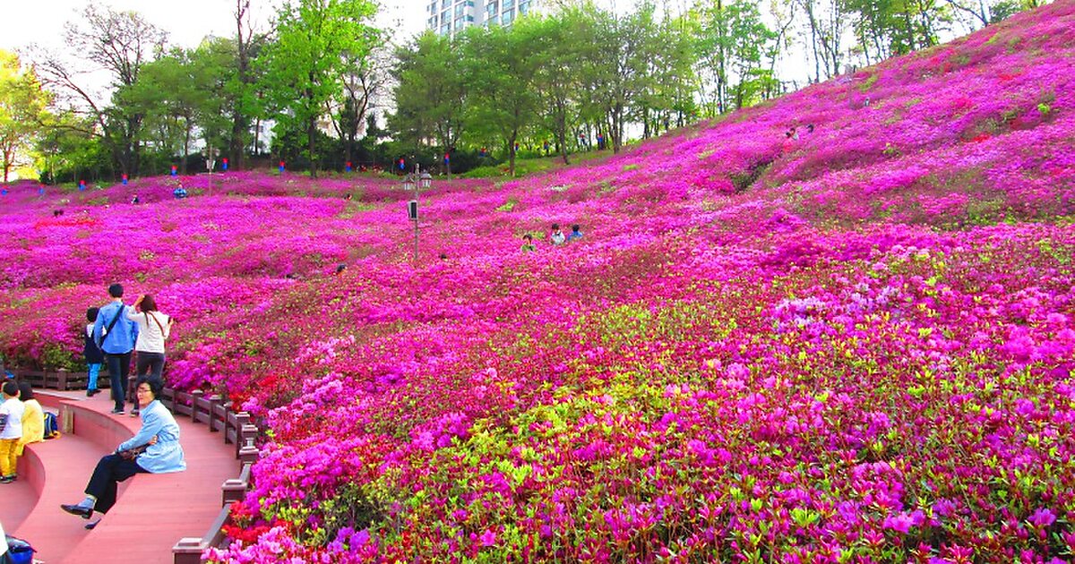 Gunpo in South Korea | Tripomatic