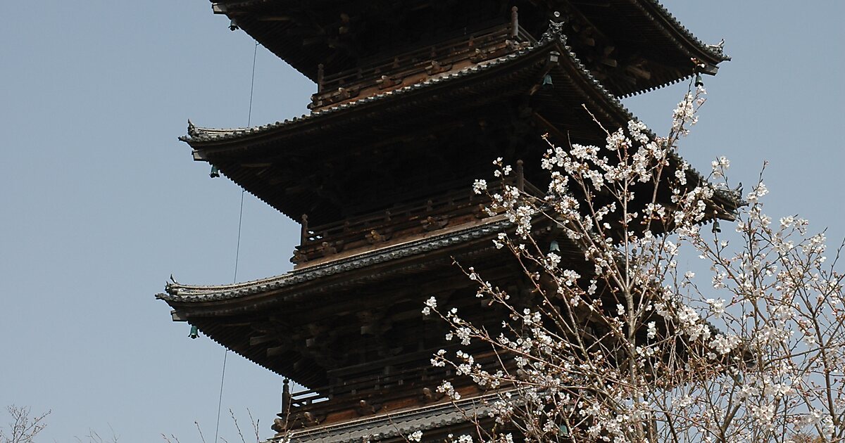 Soja in Japan | Tripomatic