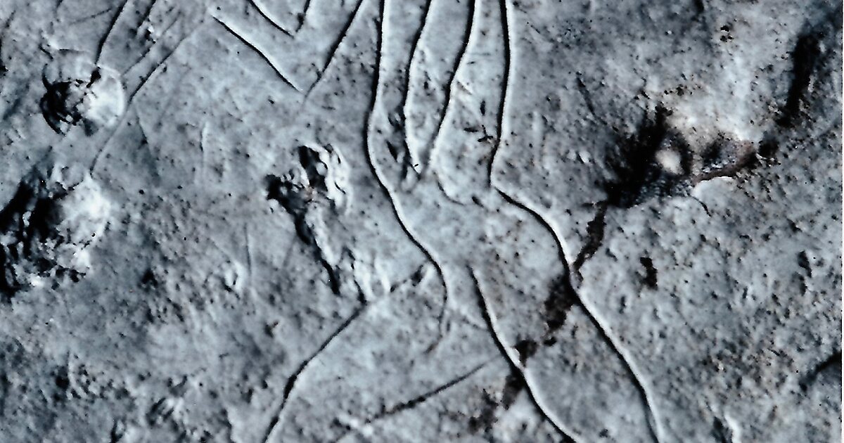 Grotta dell'Addaura in Metropolitan City of Palermo, Italy | Tripomatic