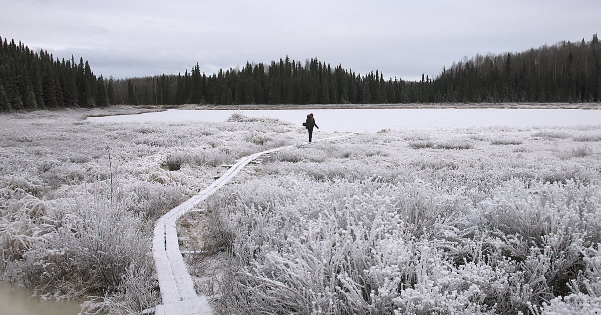Nancy Lakes Recreation Area in Alaska, United States | Tripomatic