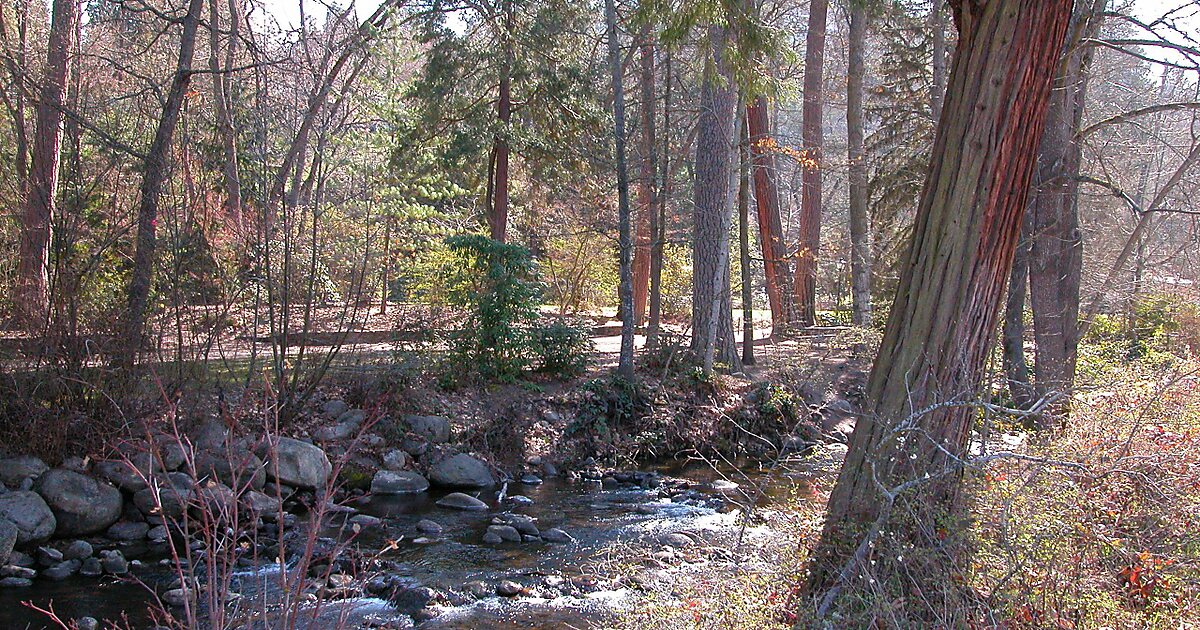 Lithia Park in Ashland, Oregon | Tripomatic