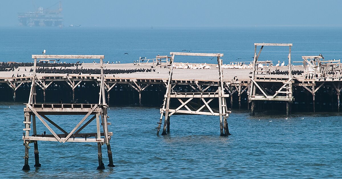 Bird Island in Namibia | Tripomatic