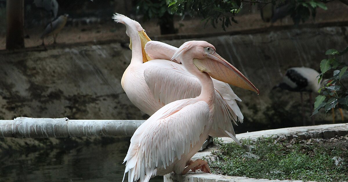 Parque nacional de Guindy en Chennai, India | Tripomatic