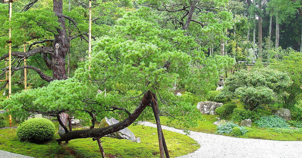 Manshu-in Temple in Sakyō-ku, Kyoto, Japan | Tripomatic