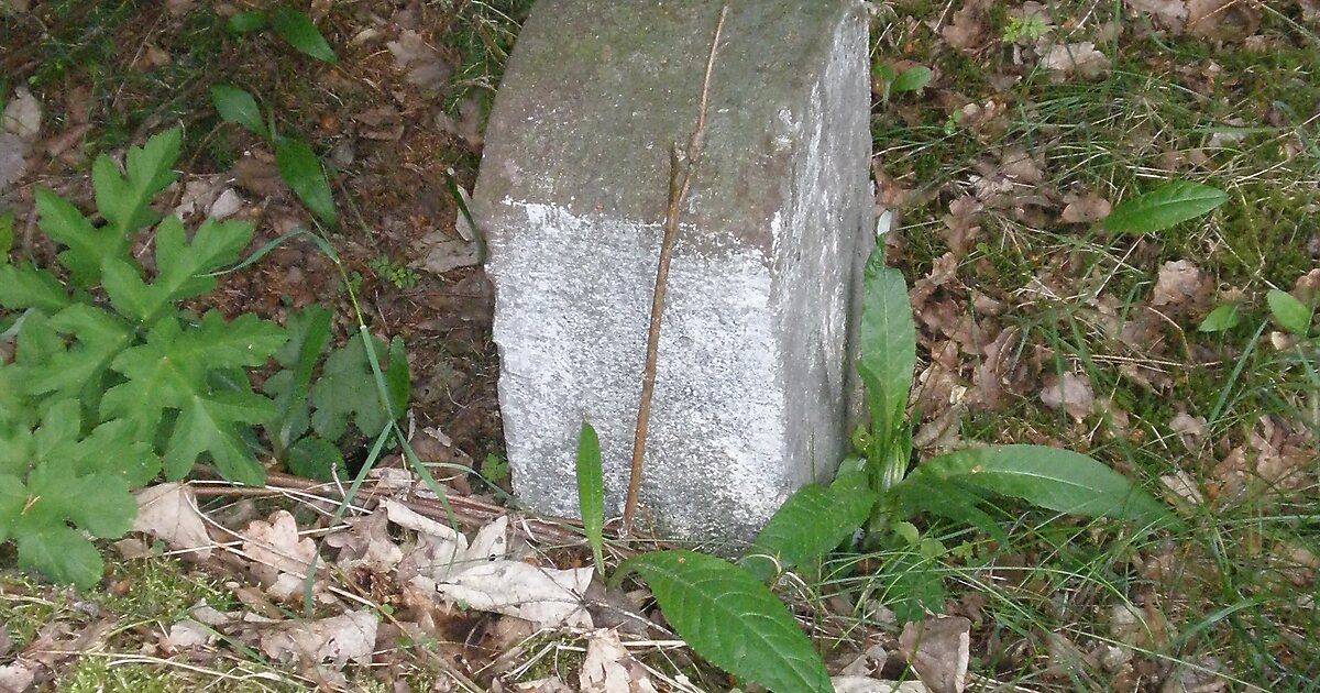 Falls–Gefrees railway in Bavaria, Germany | Tripomatic