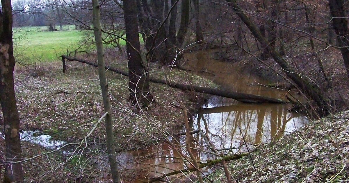 Alte Luppe in Sachsen, Deutschland | Tripomatic