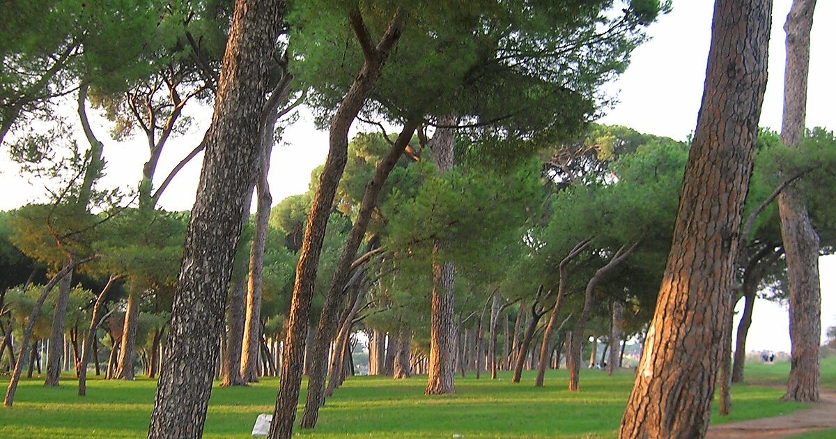 Pineto Regional Park in Aurelio, Italy | Tripomatic