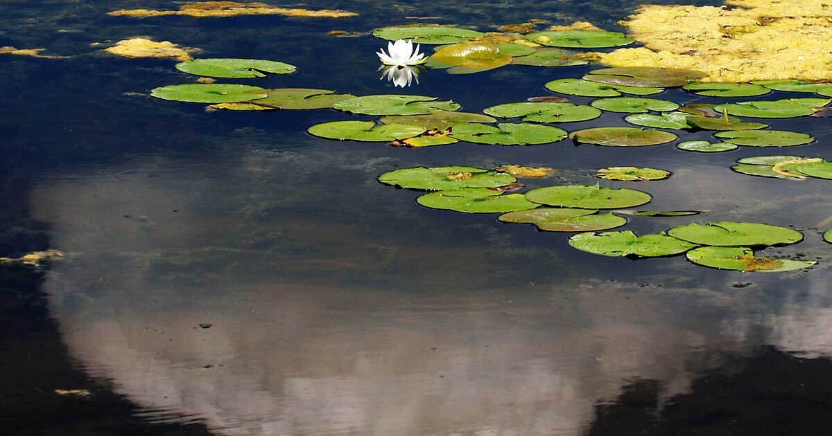 Lake Phalen in Minnesota | Sygic Travel