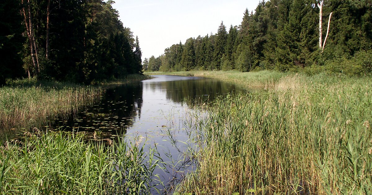 Venta-Dubysa-Kanal in Baltic States, Litauen | Tripomatic