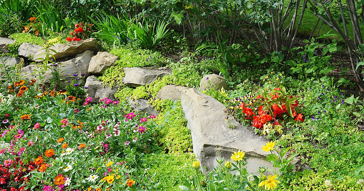 Riley Park in Calgary | Tripomatic