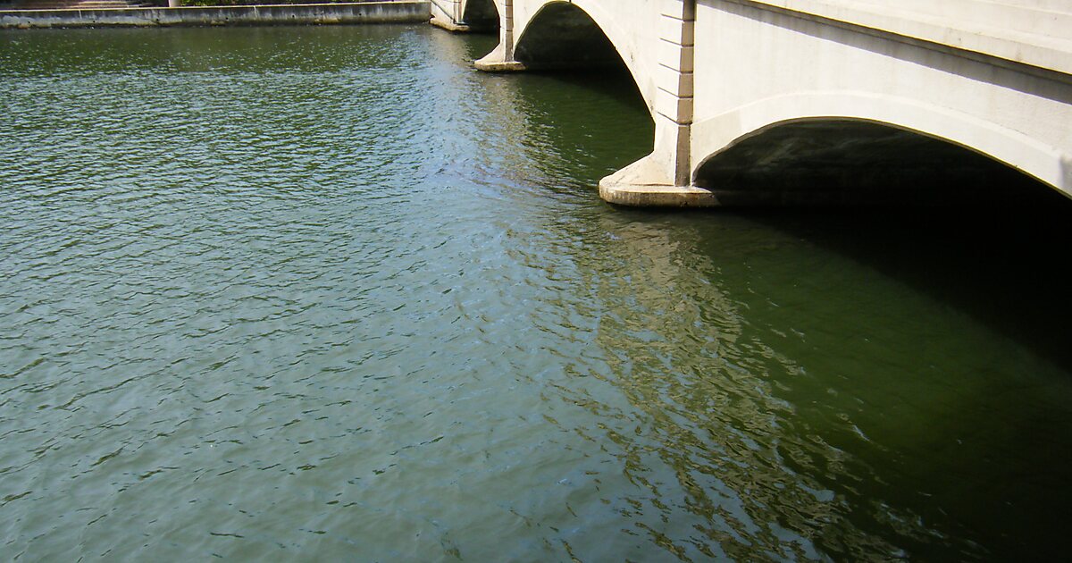 Ala Wai Canal in Honolulu, United States | Tripomatic