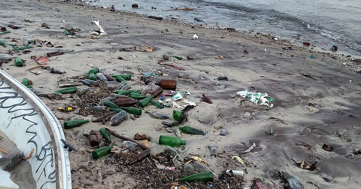 Dead Horse Bay in Kings County