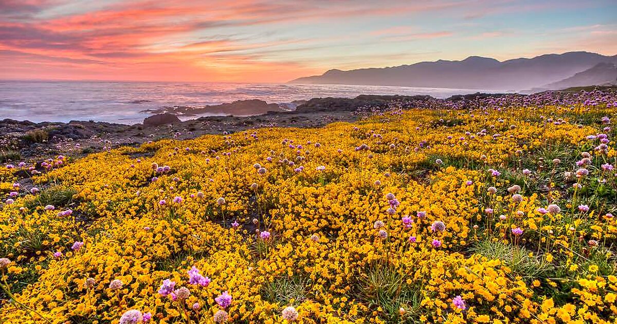 King Range National Conservation Area in United States | Tripomatic