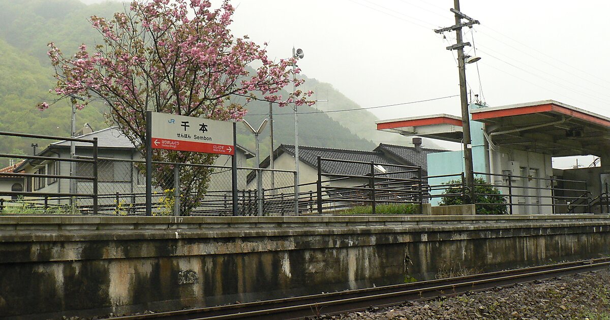 Sembon