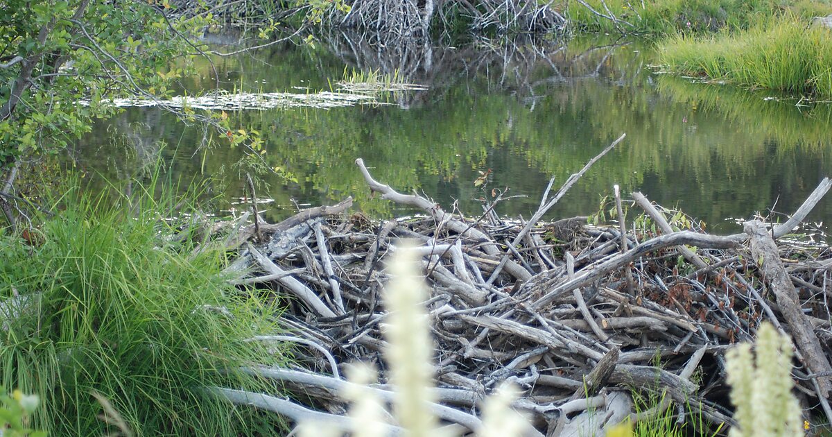 Meeks Bay in El Dorado County, California, United States | Tripomatic