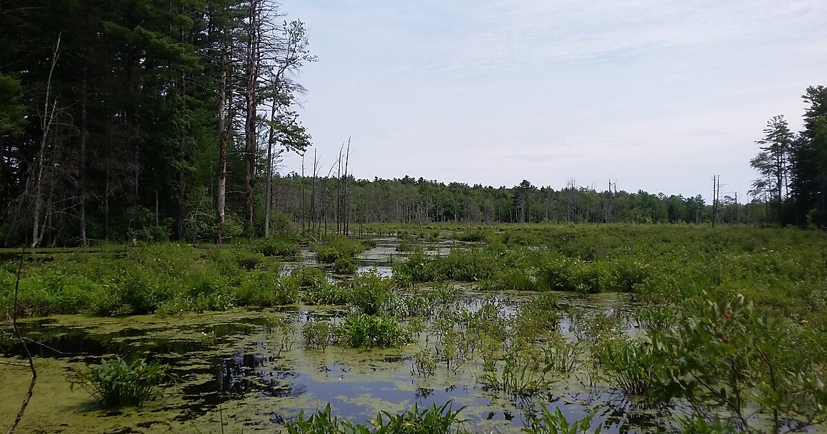 Assabet River National Wildlife Refuge in Stow, Massachusetts, United ...
