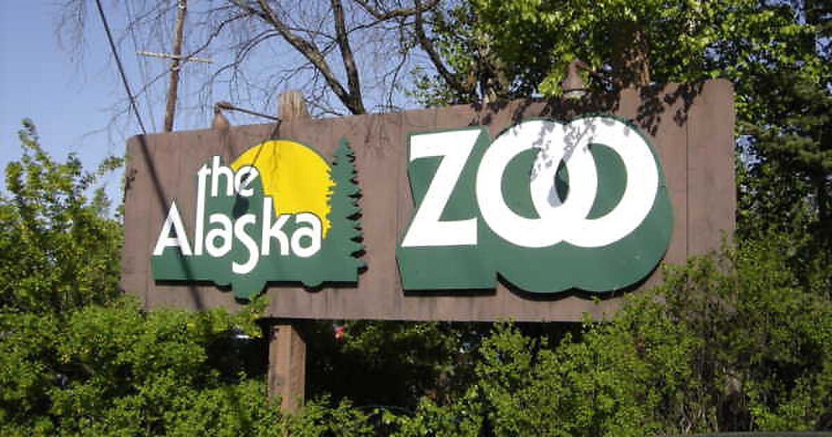 Alaska Zoo in Anchorage, Alaska | Tripomatic