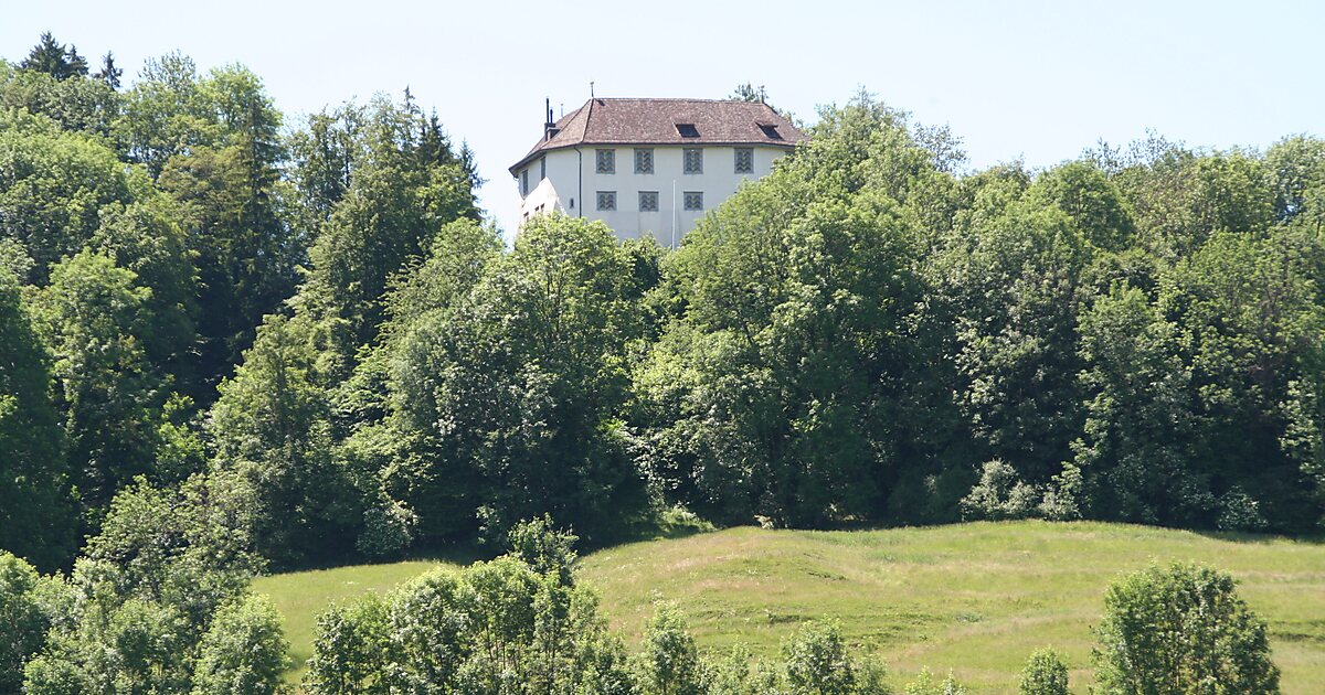 Elgg Castle in Elgg, Switzerland | Tripomatic