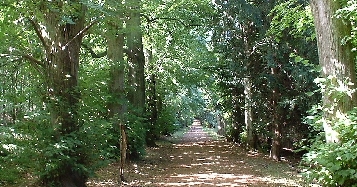 Tring Park in Great Britain, UK | Tripomatic