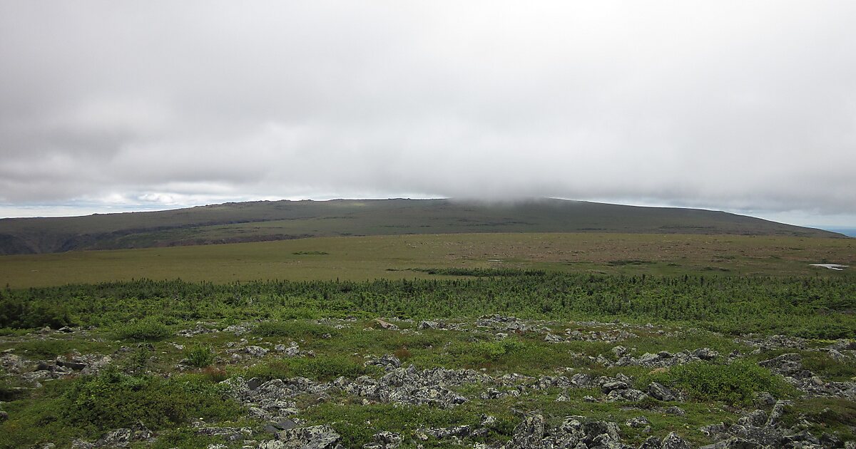 Mount Albert South Summit