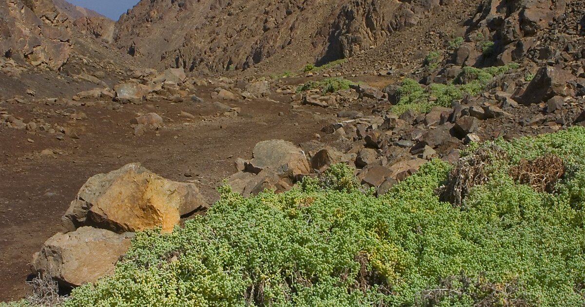 Reserva Nacional La Chimba en Antofagasta, Chile | Tripomatic
