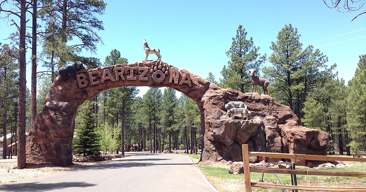 Bearizona Wildlife Park Williams in Williams, Arizona, USA | Tripomatic