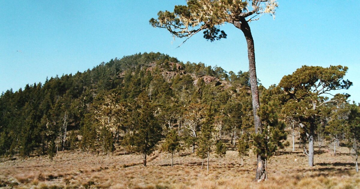 Pico Duarte in Santiago de los Caballeros, Dominican Republic | Tripomatic