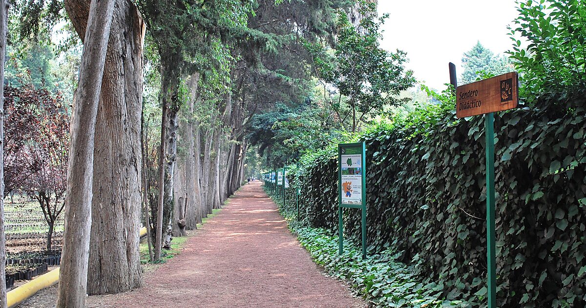 Viveros de Coyoacán in Coyoacán, Mexiko-Stadt | Tripomatic