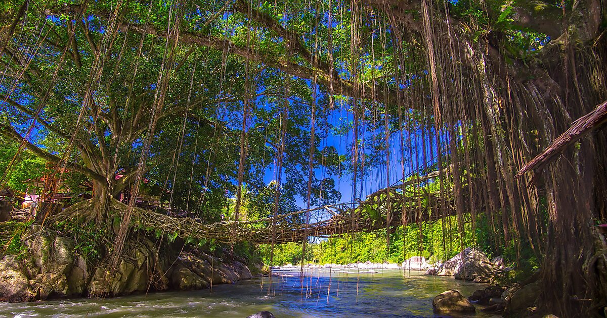 Jembatan akar in West Sumatra, Indonesia | Tripomatic