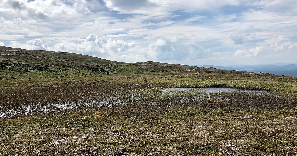 Lierne National Park in Lierne, Norway | Tripomatic