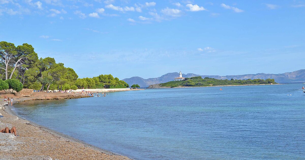 Alcanada Beach in Alcúdia, Spain | Tripomatic