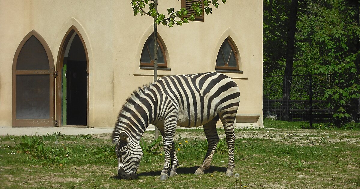 Zagreb Zoo in Maksimir, Zagreb | Tripomatic