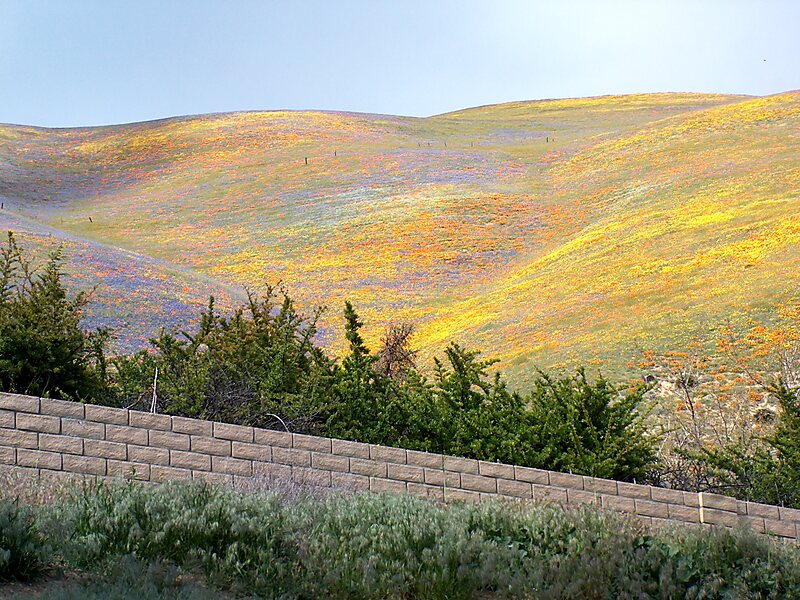 Gorman in California, United States | Tripomatic