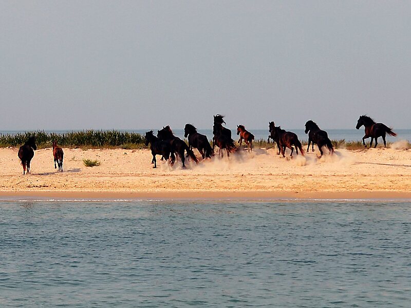Tendra Spit in Ukraine | Tripomatic