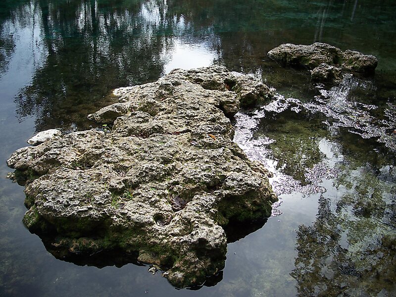 Ichetucknee Springs State Park in United States | Tripomatic