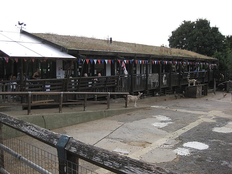 Surrey Docks Farm in London