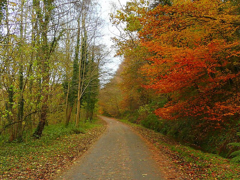 Sirhowy Valley Country Park in Ynys-ddu, UK | Tripomatic