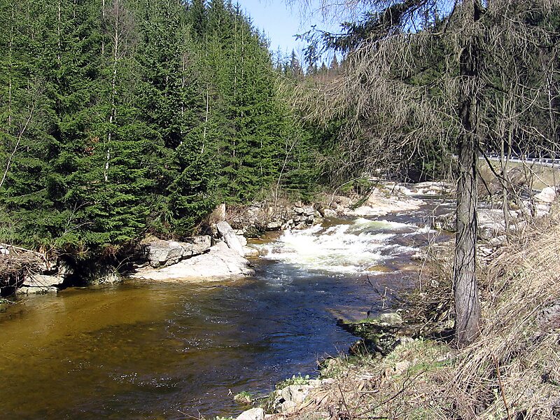 Lwówek County, Polska的Polskie źródło Izery | Tripomatic