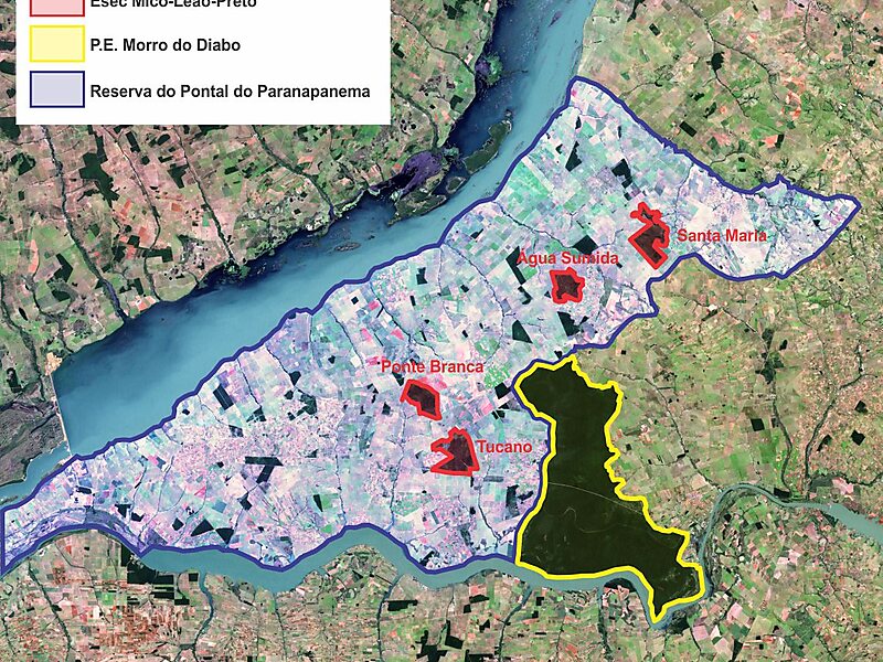 Parque Estadual Morro do Diabo em Teodoro Sampaio, Brasil | Tripomatic