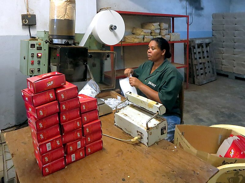 Tea Factory in Mahe, Seychelles | Tripomatic