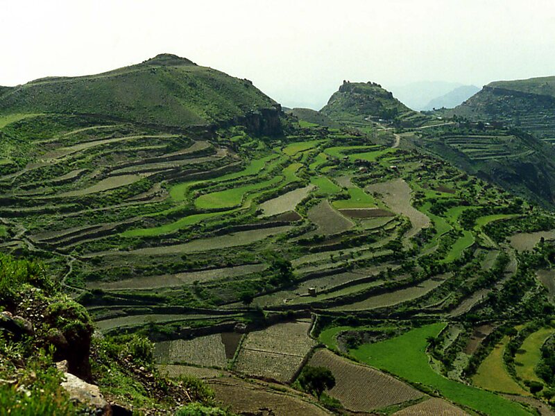 Taizz in Jemen | Tripomatic