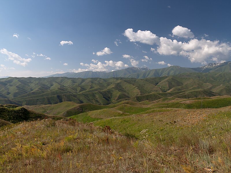 Fergana in Uzbekistan | Tripomatic