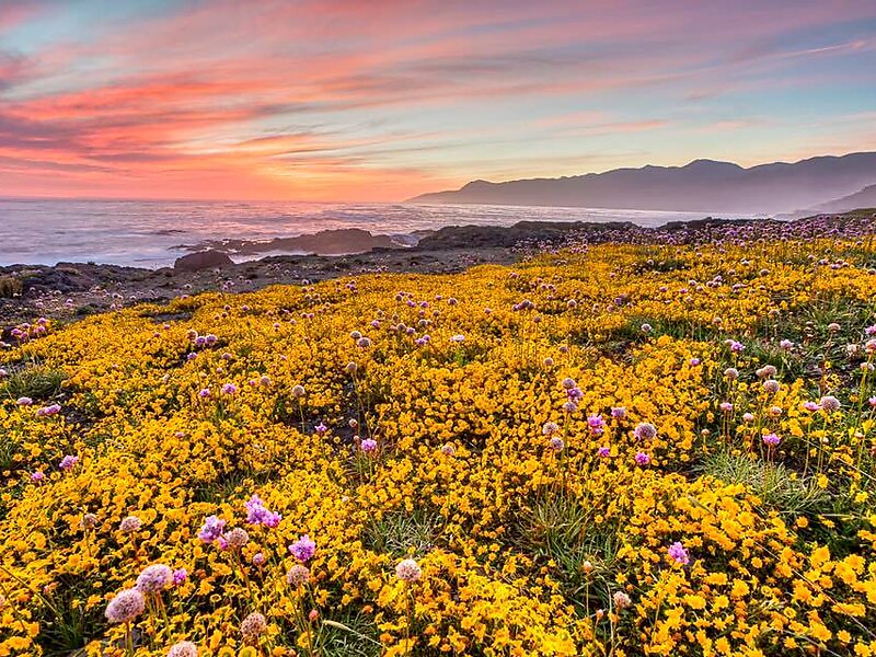 King Range National Conservation Area in United States | Tripomatic